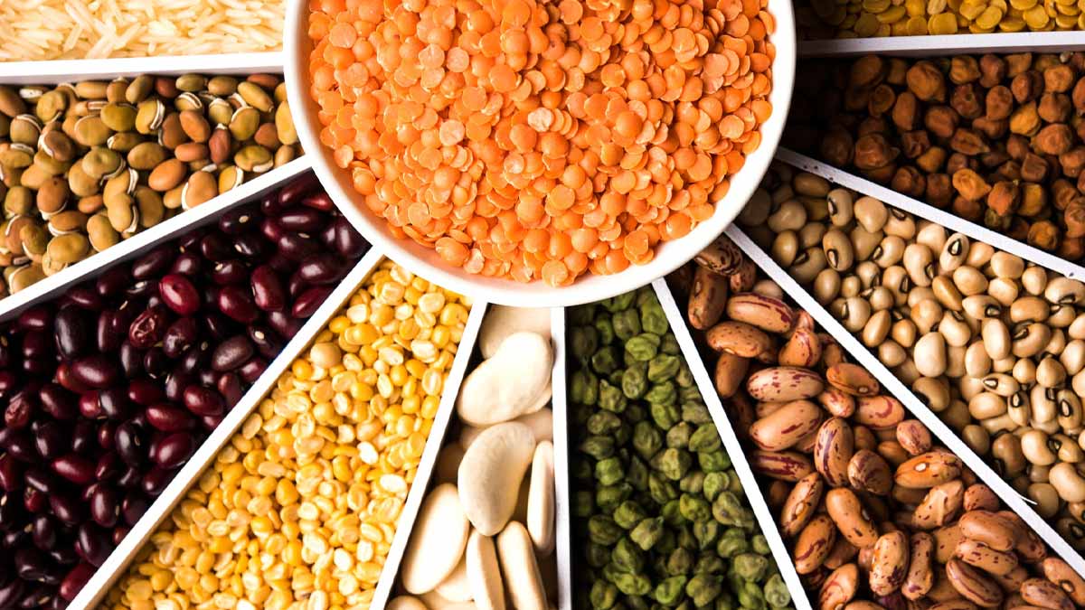 World Pulses Day: जानें इस दिन का इतिहास-महत्व समेत सबकुछ | world ...
