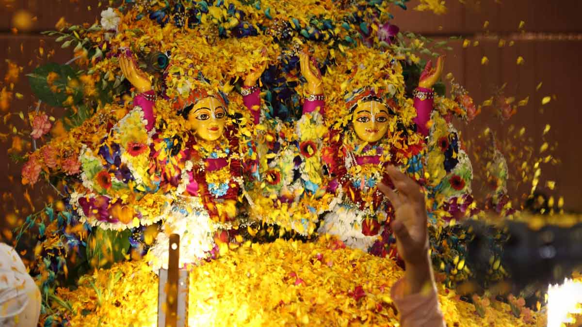 Phulera Dooj 2023: कब है फुलेरा दूज, जानें तिथि और महत्व | phulera dooj ...