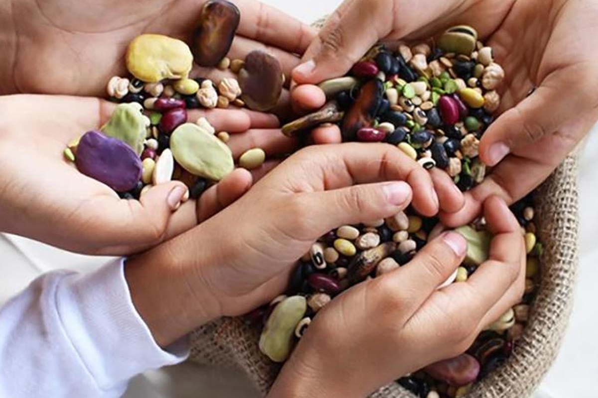 World Pulses Day: जानें इस दिन का इतिहास-महत्व समेत सबकुछ | world ...