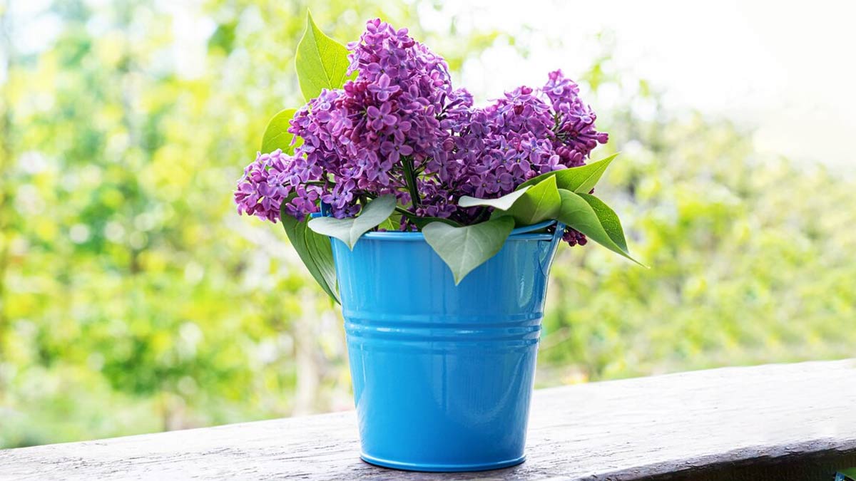 Flower Pots Ideas| बेडरूम को सजाने का तरीका| Flower Pots For Decorations