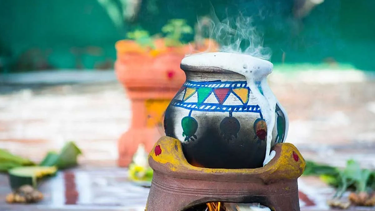 Pongal Pot | பொங்கல் பானை | tips to buy good pot for pongal in tamil ...