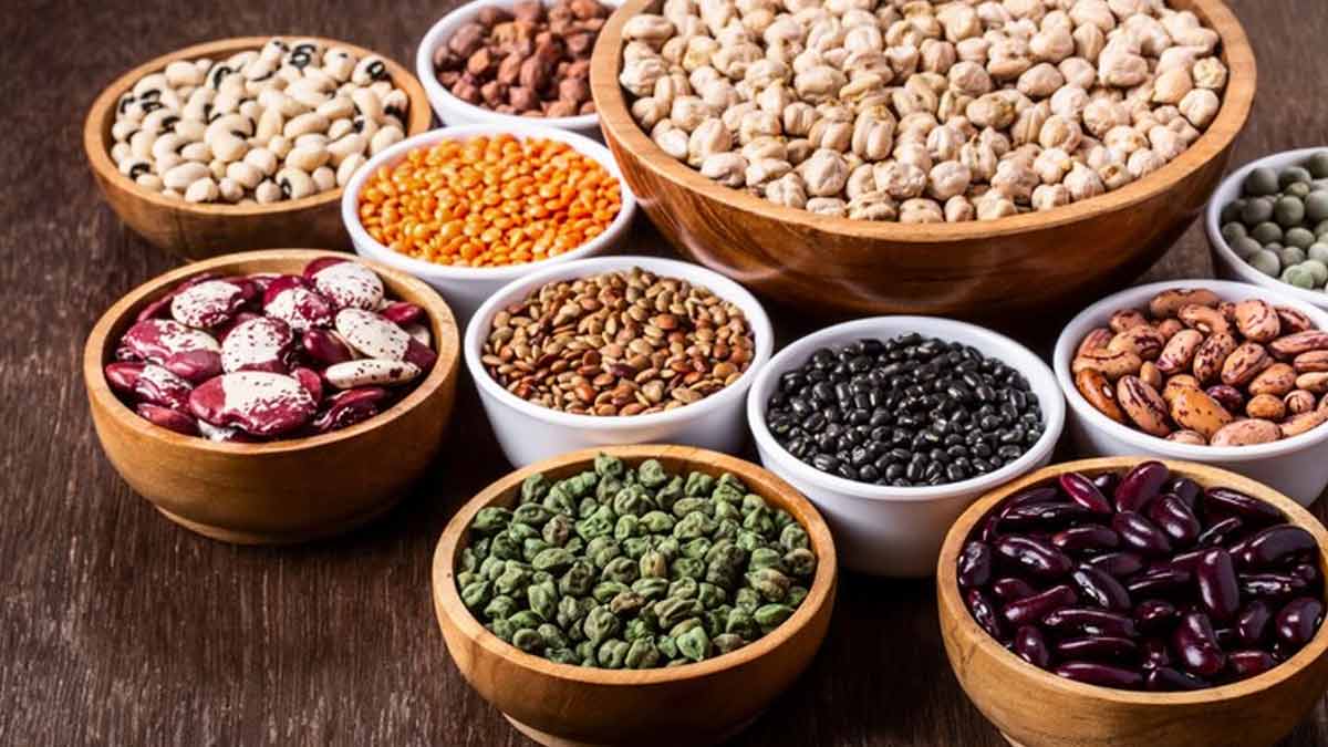 दालें प्रोटीन का सही भंडार कैसी होती हैं? एक्‍सपर्ट से जानें | how ...