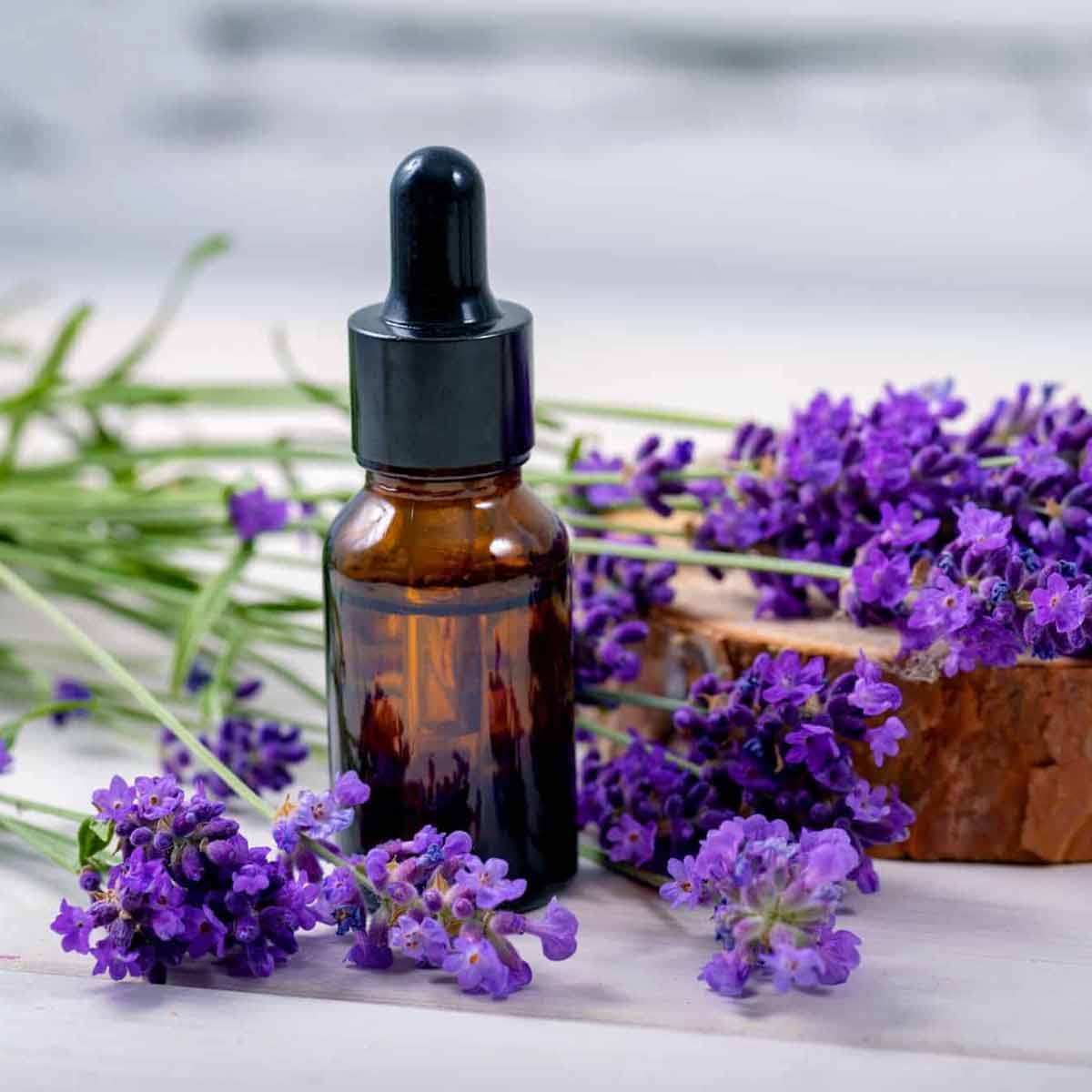 बारिश में स्टोर रूम से आने वाली बदबू को दूर करने के आसान टिप्स एंड ...