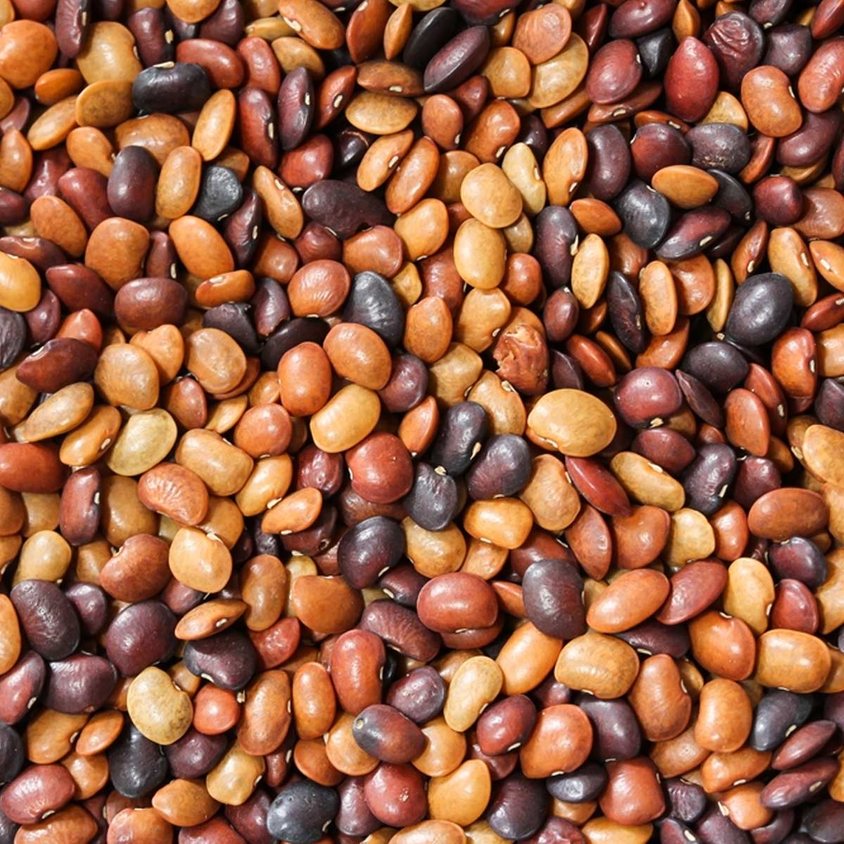 Kollu Benefits : உடல் வலுப்பெற, நோய்களை விரட்ட கொள்ளு சாப்பிடுங்க ...