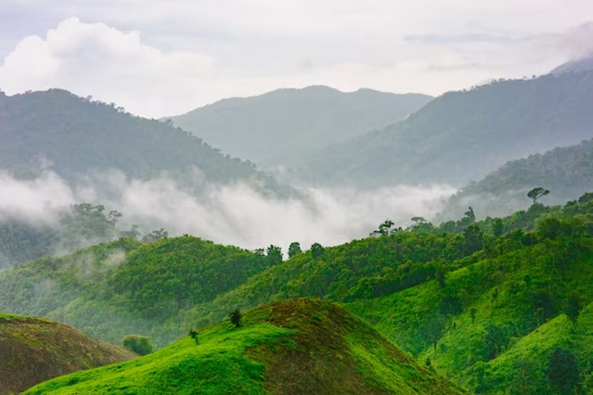 Kerala Trip : கேரளா பக்கம் சுற்றுலா போன இந்த இடங்களை மிஸ் செய்து ...