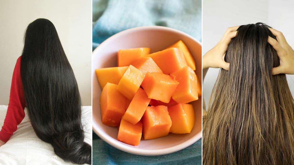 Long Hair Solution: कमर तक लंबे हो सकते हैं आपके बाल, घर पर पपीते से ...