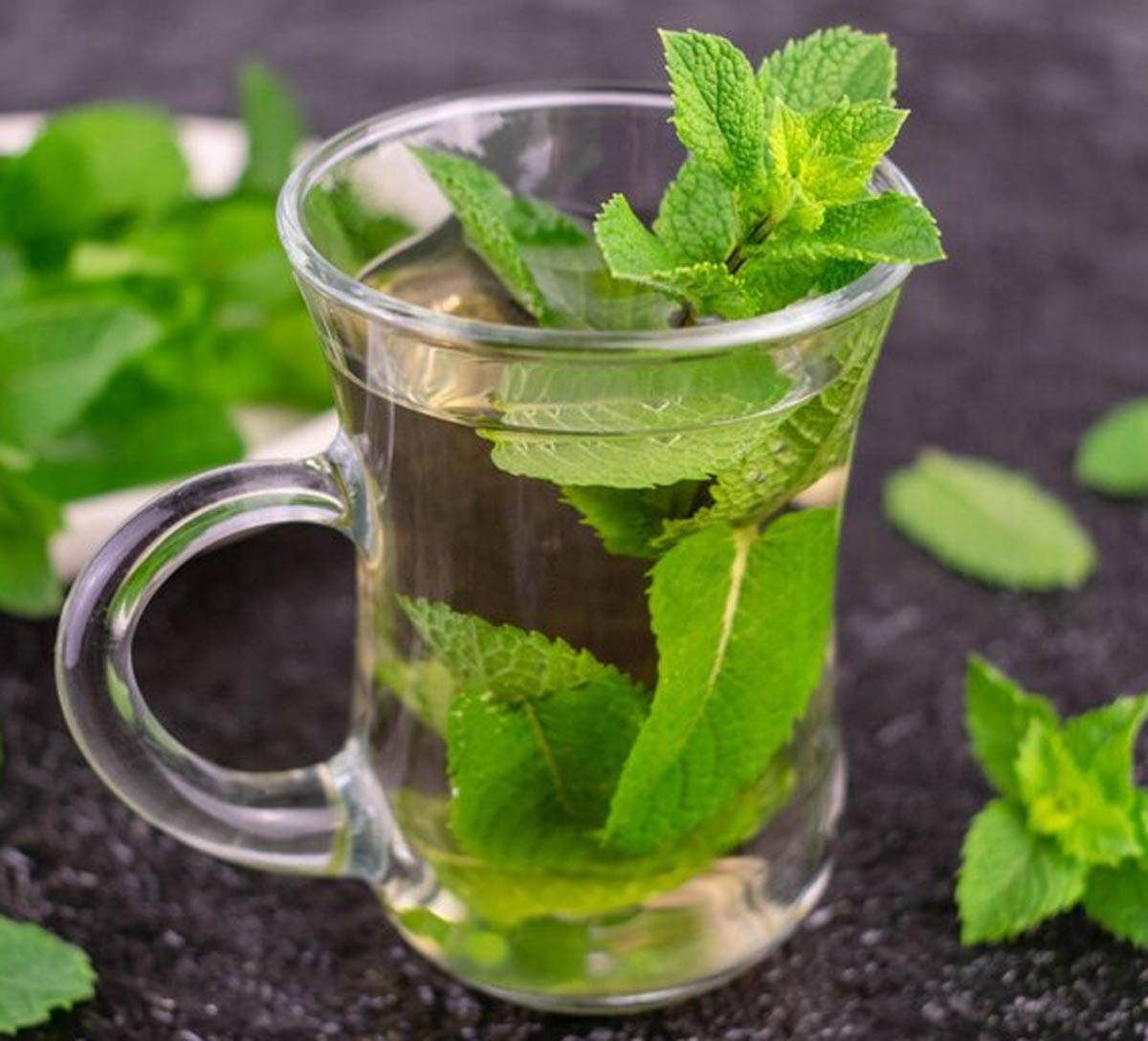 கோடை காலத்தில் புதினா இலைகள் சேர்த்து கொள்வதால் கிடைக்கும் நன்மைகள் ...