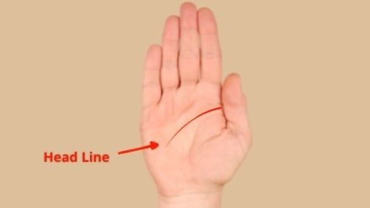 Personality Traits: लंबी मस्तिष्क रेखा वालों में होते हैं अद्भुत गुण ...
