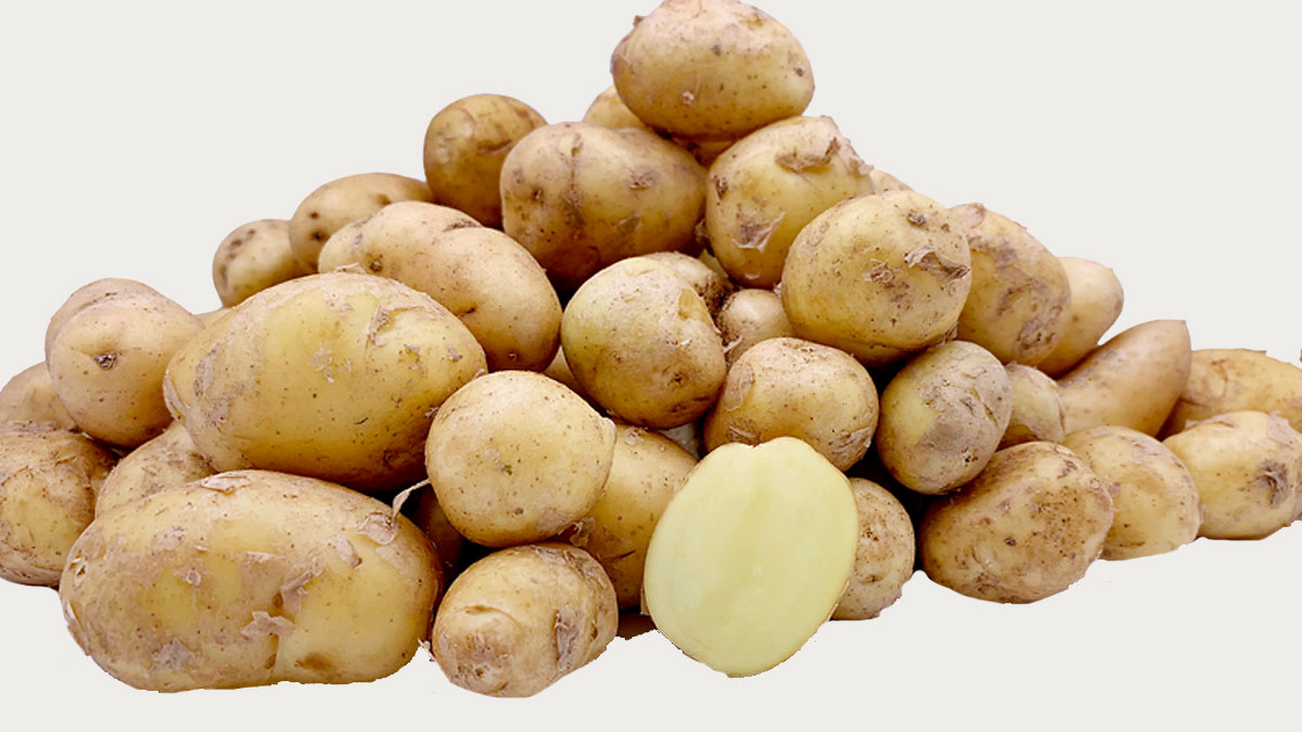 सोने के भाव में बिकते हैं ये आलू, आप भी जान लें इसकी कीमत | world most ...