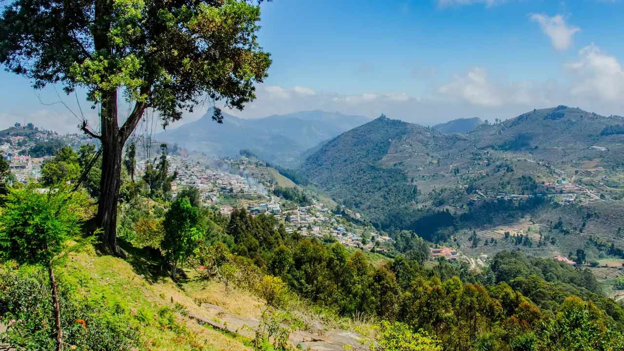 Kodaikanal: Places To Visit In The Kodaikanal, One of South India's ...