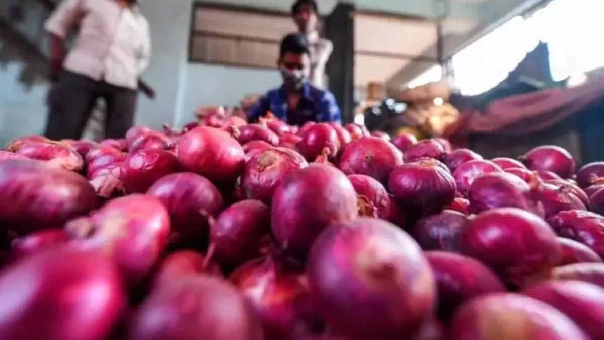 Onion Price Hike: क्यों बढ़ गए हैं प्याज के दाम? जानें कारण और कम खर्च में खरीदने के टिप्स | why ...