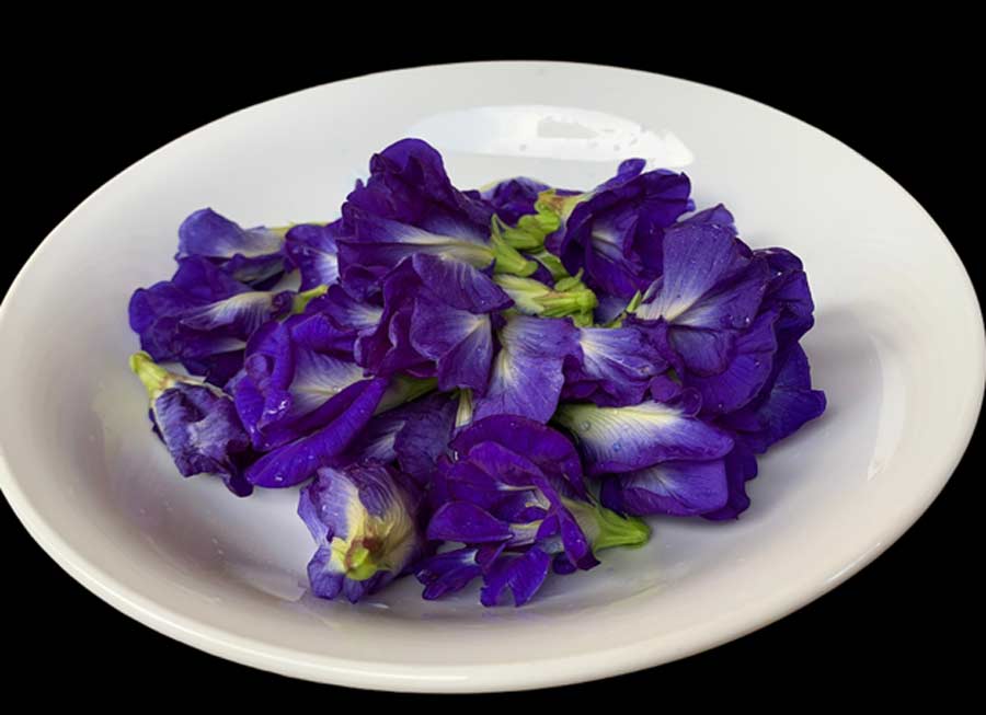 Aparajita Phool Ke Upay in Dussehra: धन लाभ के लिए दशहरा के दिन आजमाएं ...