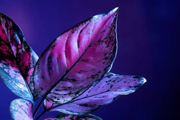 Turn Your Garden Into A Nighttime Wonderland With These 6 Glowing ...