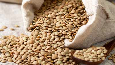 How to Remove Insects from Grains| दाल-चावल से कीड़े कैसे निकालें| Dal ...