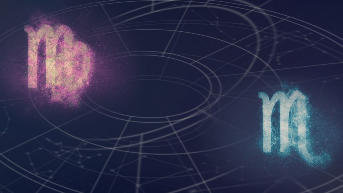 Tarot Expert Talks About Virgo And Scorpio Sun Signs Relationship ...