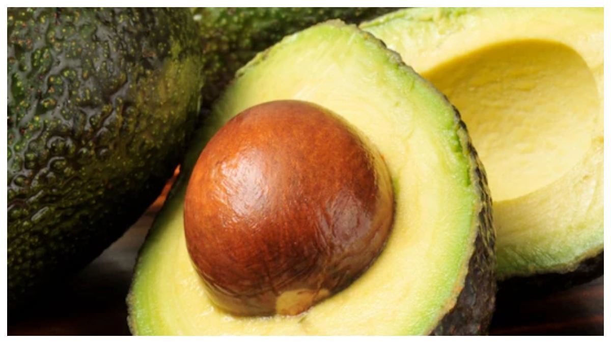Avacado Seeds Benefits: அவகேடோ விதைகளில் கிடைக்கும் ஆரோக்கிய நன்மைகள் ...