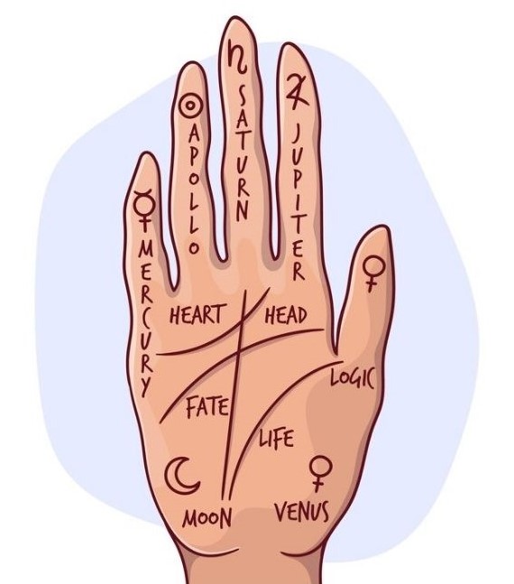 A Lesson On Palmistry: Expert Tells How To Read Your Palm Lines In Just ...