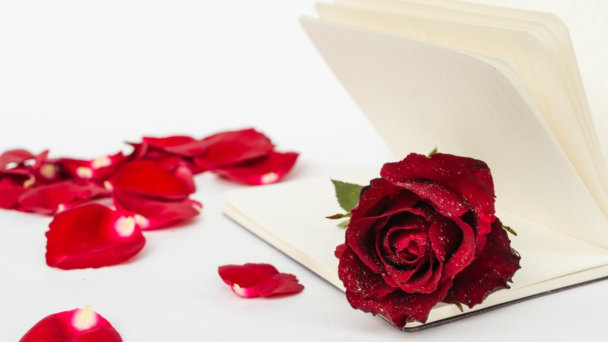 Astrological Significance Of Keeping Rose Petals Between Your Book Or ...