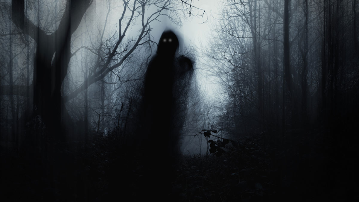 Pisawa Forest UP: पिसवा फॉरेस्ट की कहानी आज भी लोगों को सताती है, आपके ...