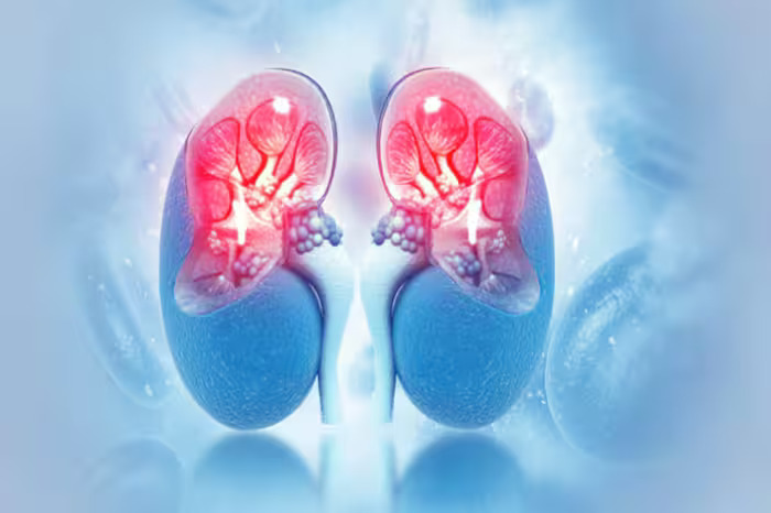 Kidney Disease: நீரிழிவு நோயாளிகளுக்கு சிறுநீரக பிரச்சனை ஏற்படுமா ...