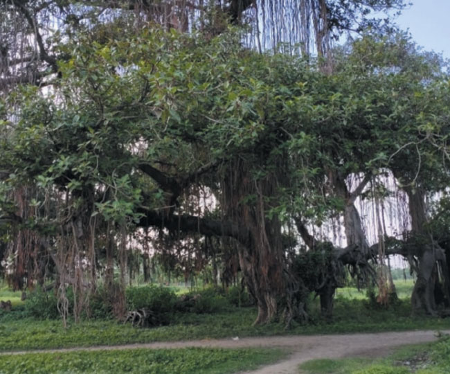 Rakshabandhan Temple: राखी के दिन जाएं यहां दर्शन करने, भाई-बहन के ...