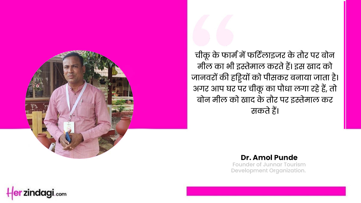 Home Gardening: चीकू से भर जाएगा पेड़, फॉलो करें माली के बताए ये देसी ...