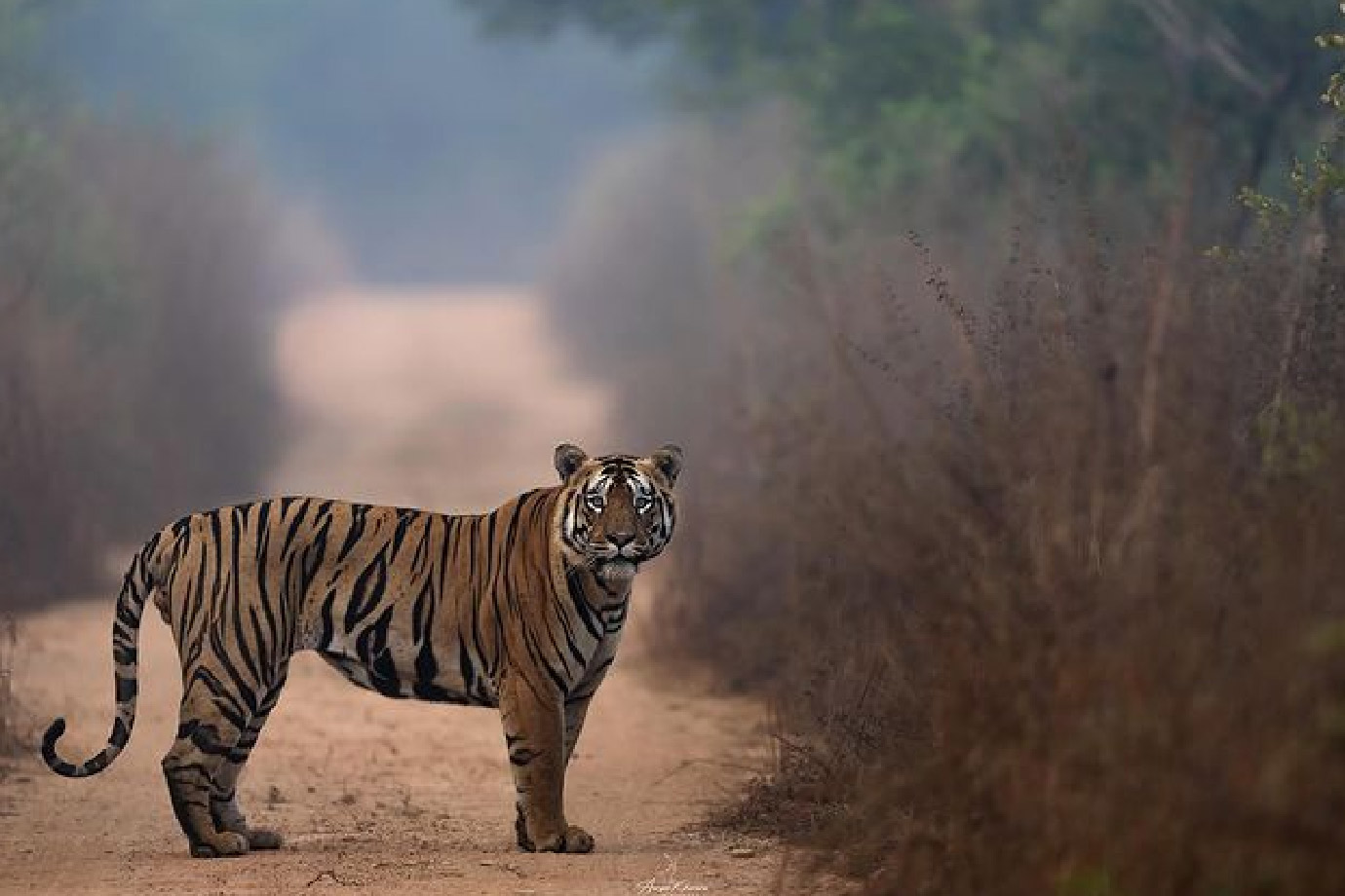Madhya Pradesh Travel: मध्य प्रदेश की इस अद्भुत जगह को एक्सप्लोर नहीं ...