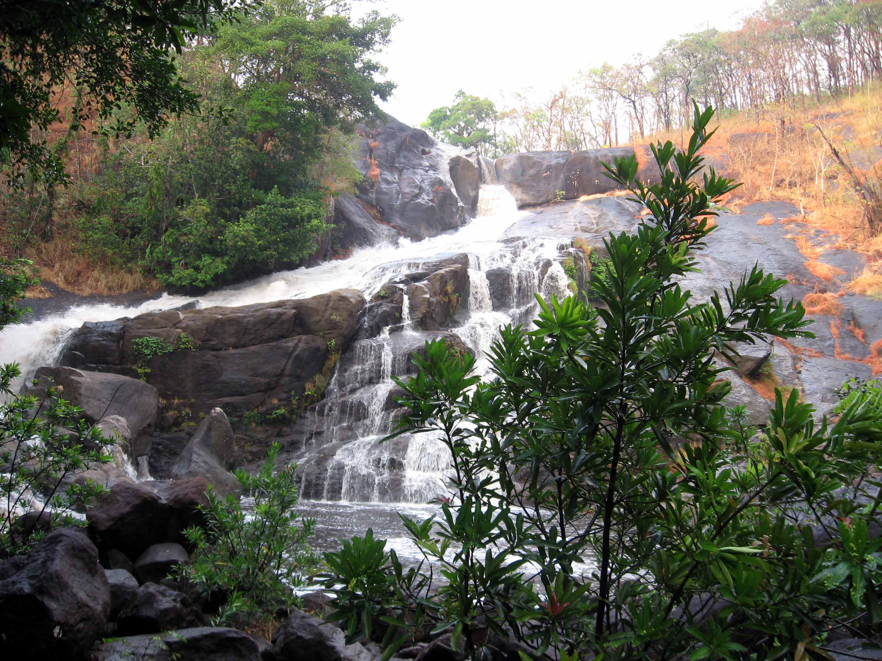Unveiling Kerala's Spectacular Waterfalls For Nature Lovers | HerZindagi Unveiling Kerala's Spectacular Waterfalls For Nature Lovers | HerZindagi