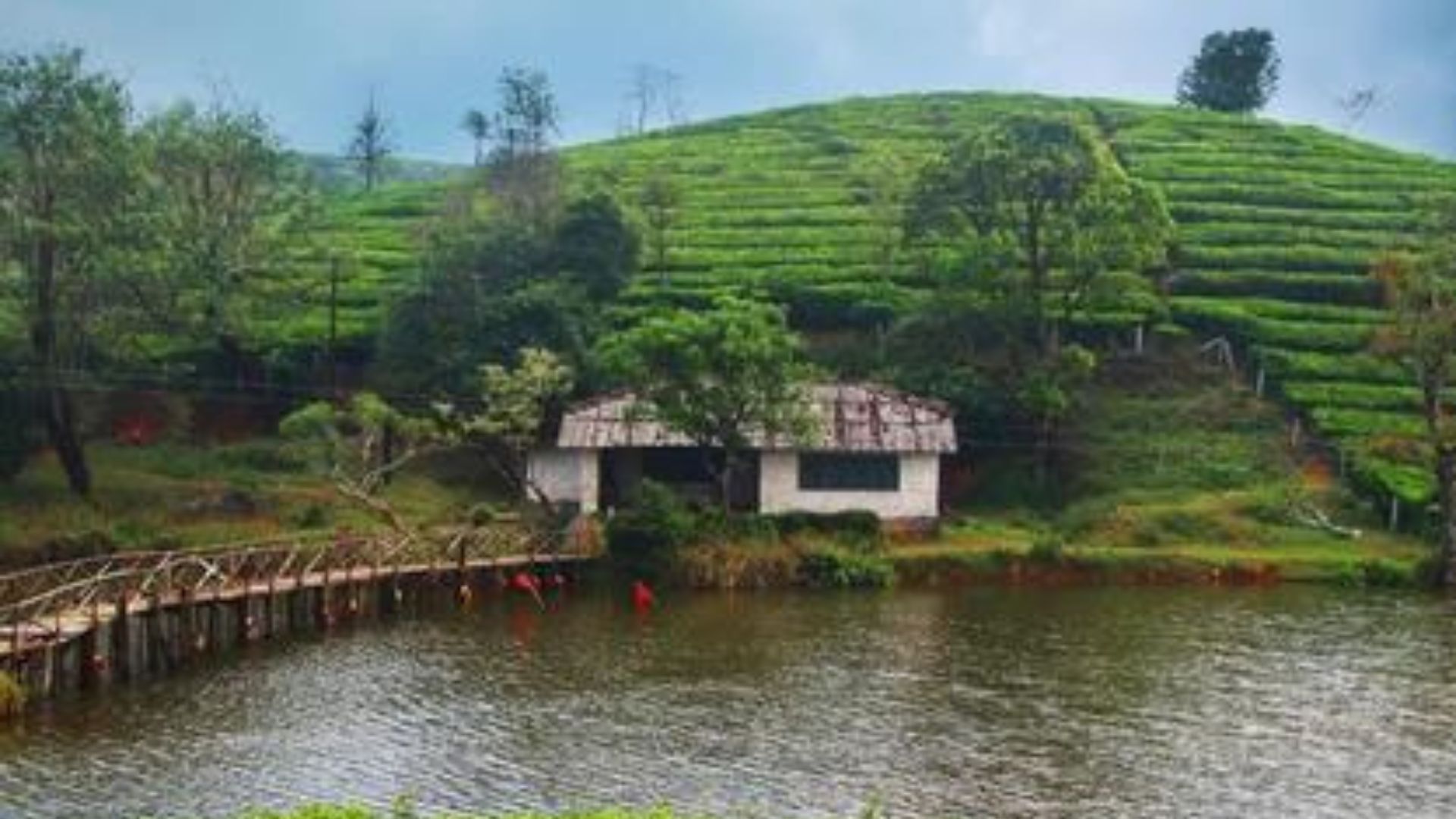 क्या आपने कभी वागामोन का नाम सुना है, पार्टनर के साथ इस तरह प्लान करें ...