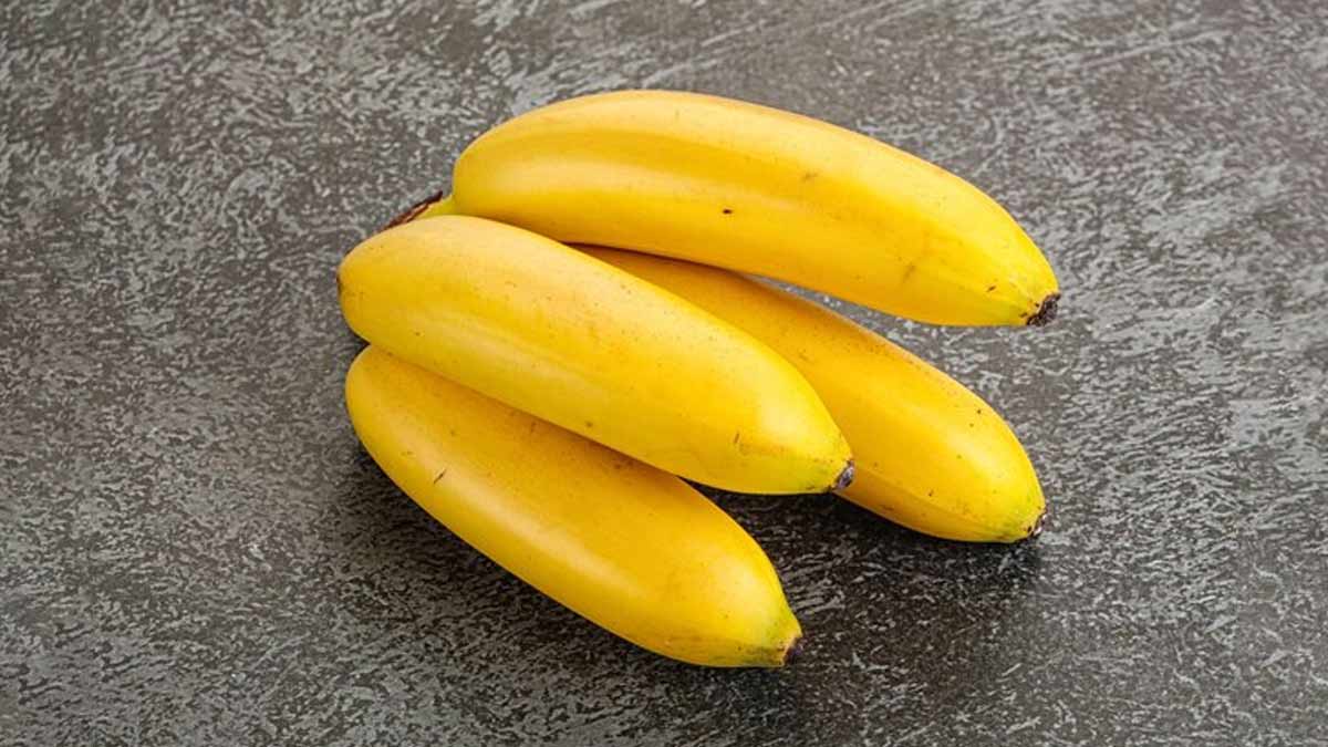 क्या सर्दियों में केला खाने से नुकसान होता है? जानें | can you eat ...