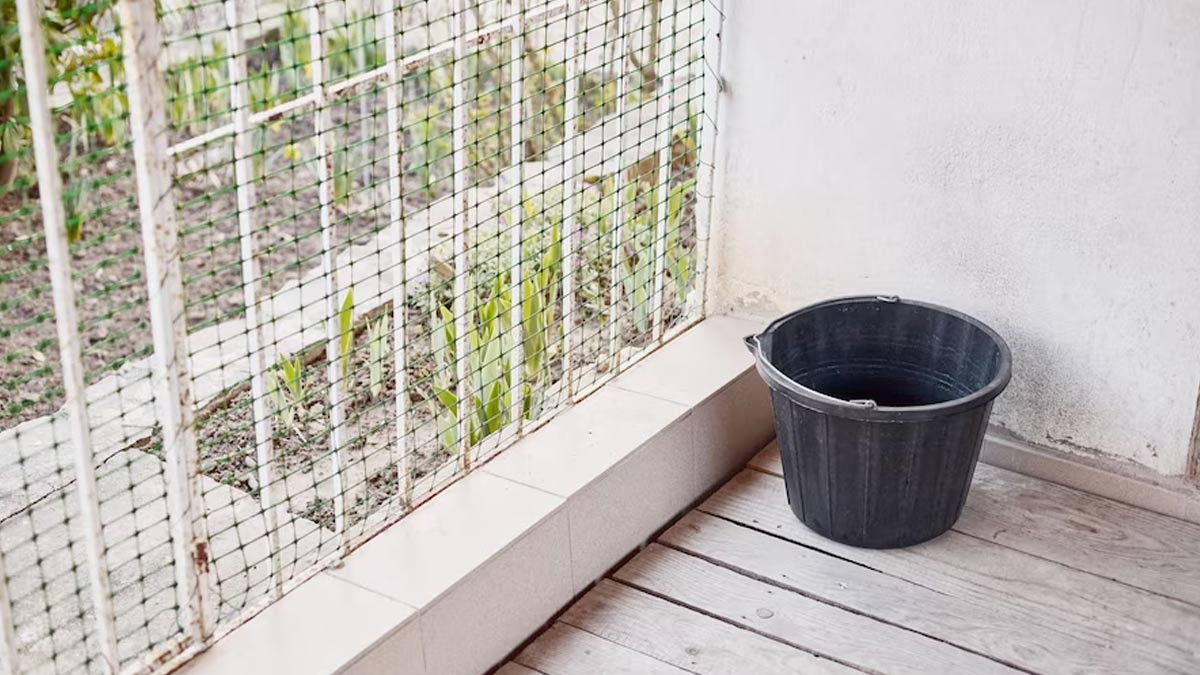 Empty Bucket Signs: घर से निकलते समय खाली बाल्टी का दिखना देता है कुछ ...