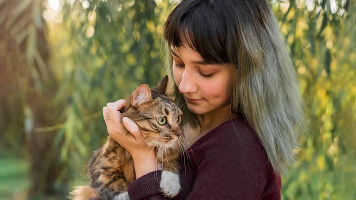 Kitten Care 101: Keeping Your Furry Friends Cozy And Healthy During ...