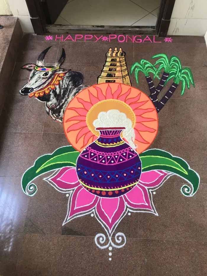 Cow Rangoli Design For Mattu Pongal: मट्टू पोंगल पर ट्राई करें गाय और ...