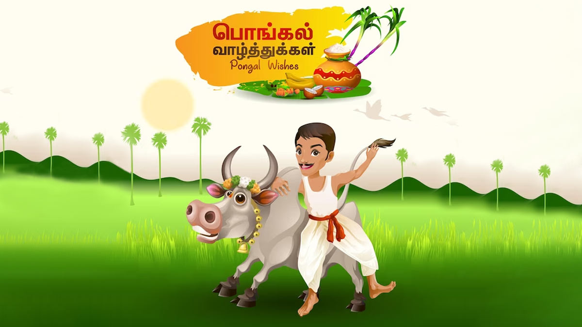 Mattu Pongal 2024 : மாட்டுப் பொங்கல் கொண்டாடும் வழிமுறைகள் ! செய்ய ...