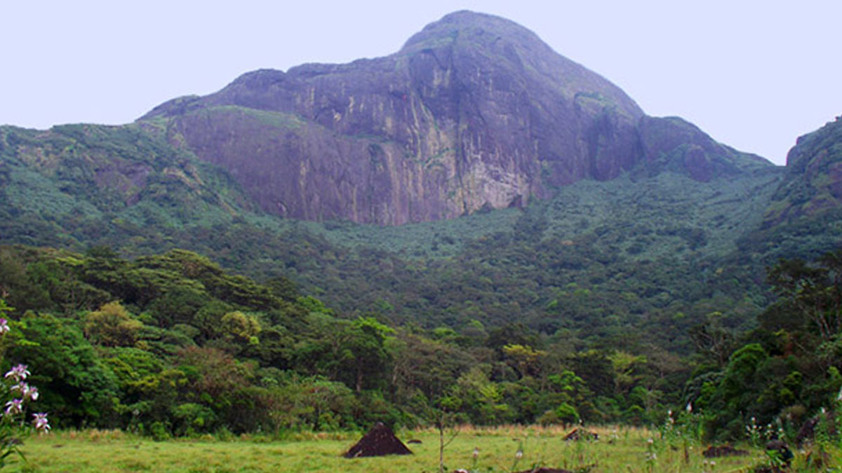 Trekking Spots: தமிழகத்தின் கடினமான பத்து மலையேற்றம் | top must do ...