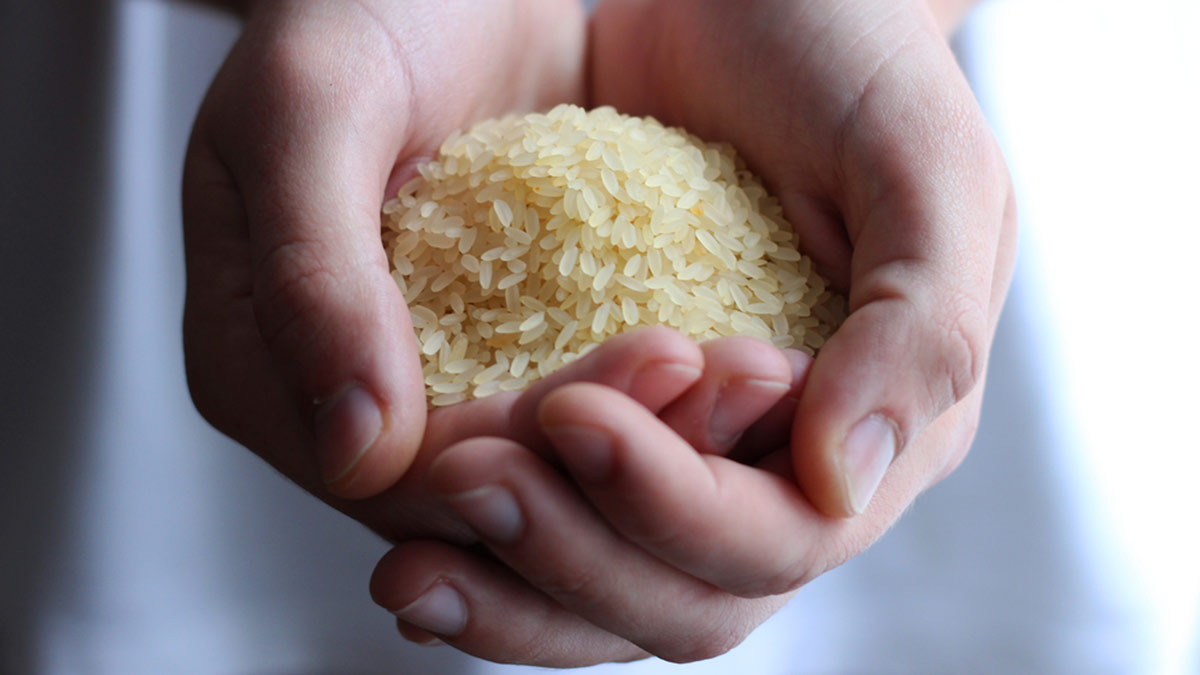 Do Not Donate Rice On This Day To Avoid Bankruptcy, Expert Weighs In ...