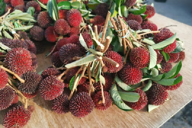 लीची की तरह दिखने वाले इस मौसमी फल का स्वाद चखा है क्या? | know about ...