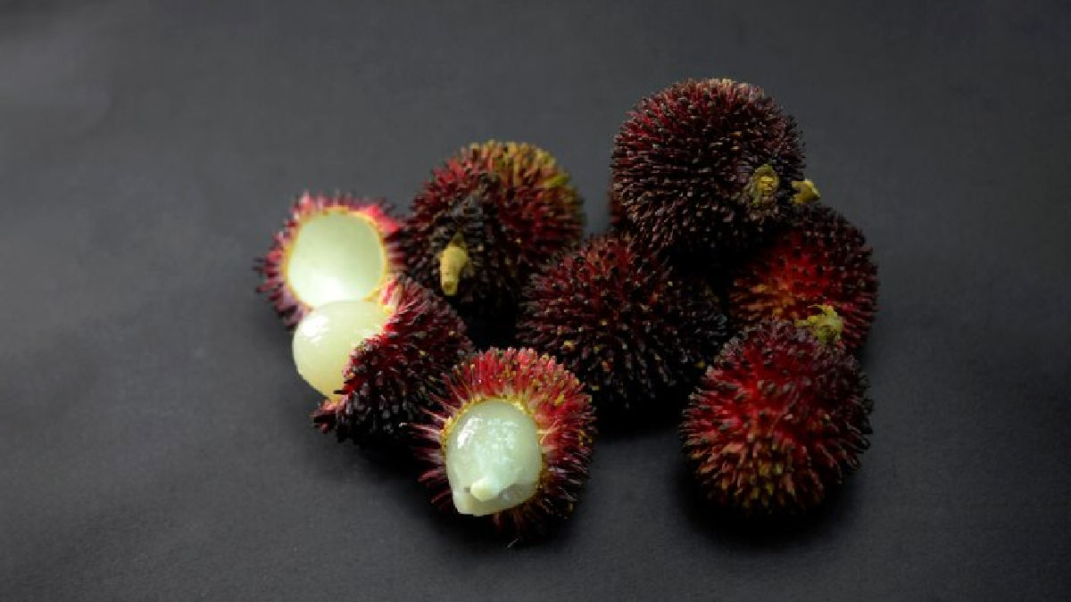 लीची की तरह दिखने वाले इस मौसमी फल का स्वाद चखा है क्या? | know about ...