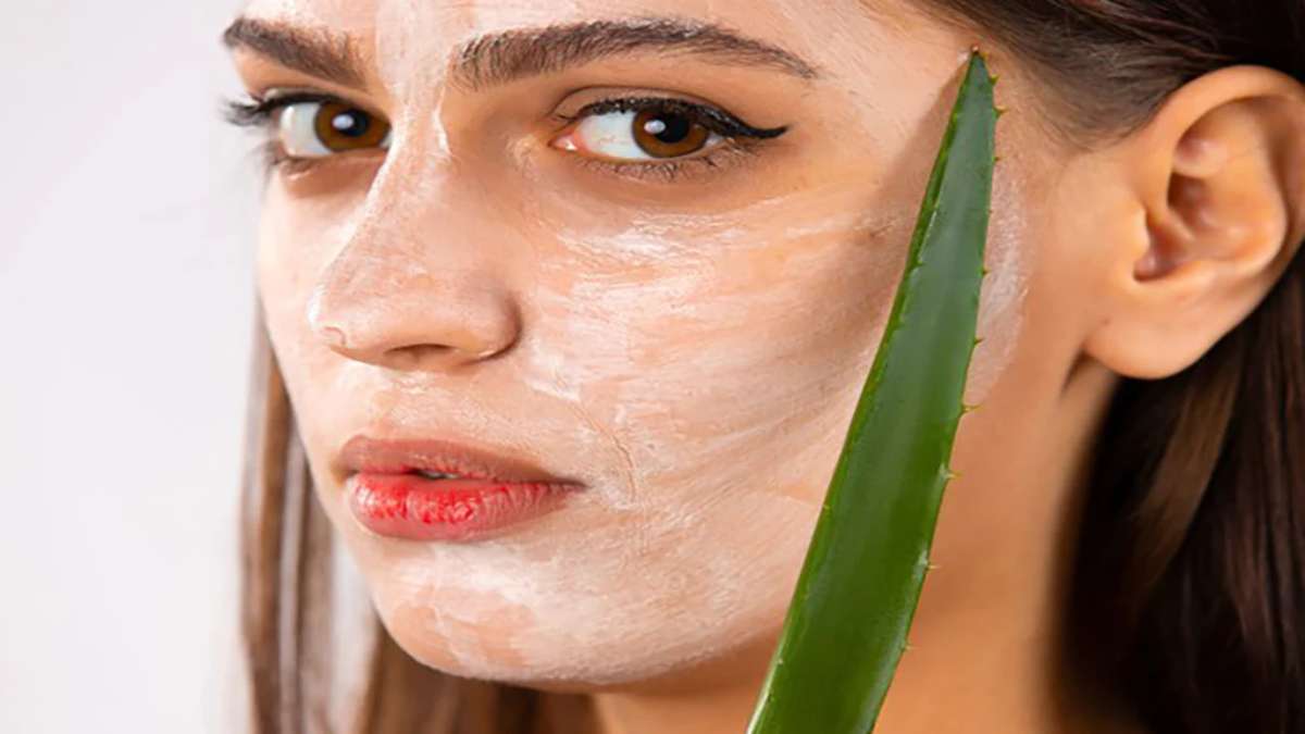 கற்றாழையில் உள்ள ஊட்டச்சத்துக்கள்! | aloe vera face pack helps to ...