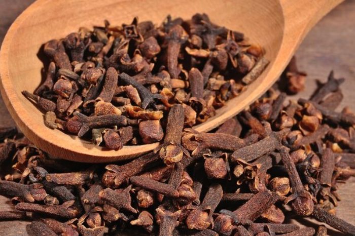 வீட்டில் கிராம்பு செடியை வளர்ப்பது எப்படி | how to plant clove trees at ...