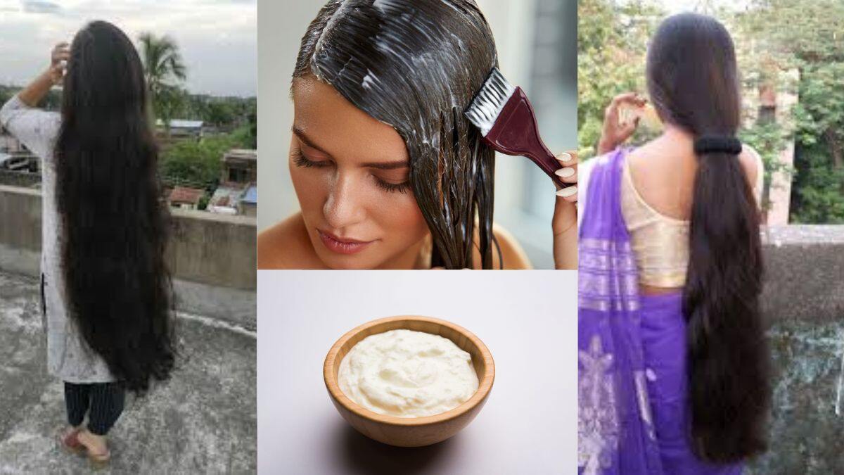 Collagen Hair treatment | Curd For Hair | लंबे बालों की देखभाल कैसे ...