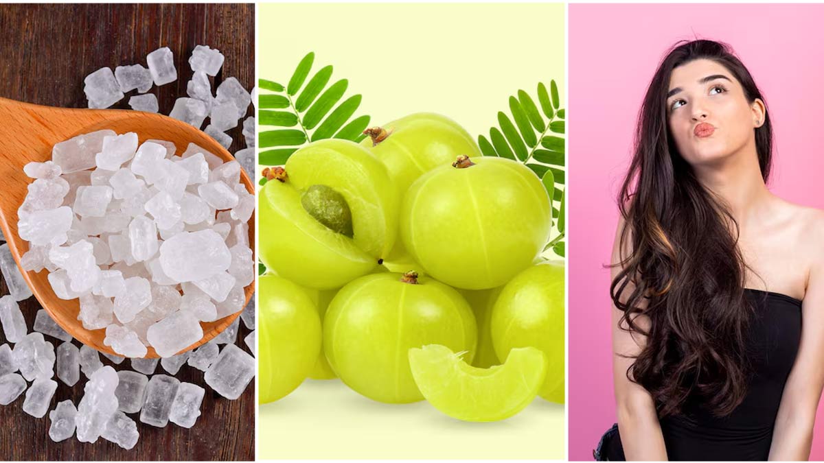 Dil Se Indian:बालों को झड़ने से रोक सकता है यह देसी नुस्खा | amla ...