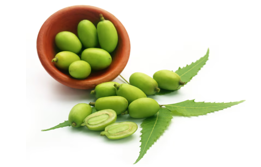 छोटा सा दिखने वाला यह फल सेहत को पहुंचाता है ढेरों लाभ | how nimboli is ...