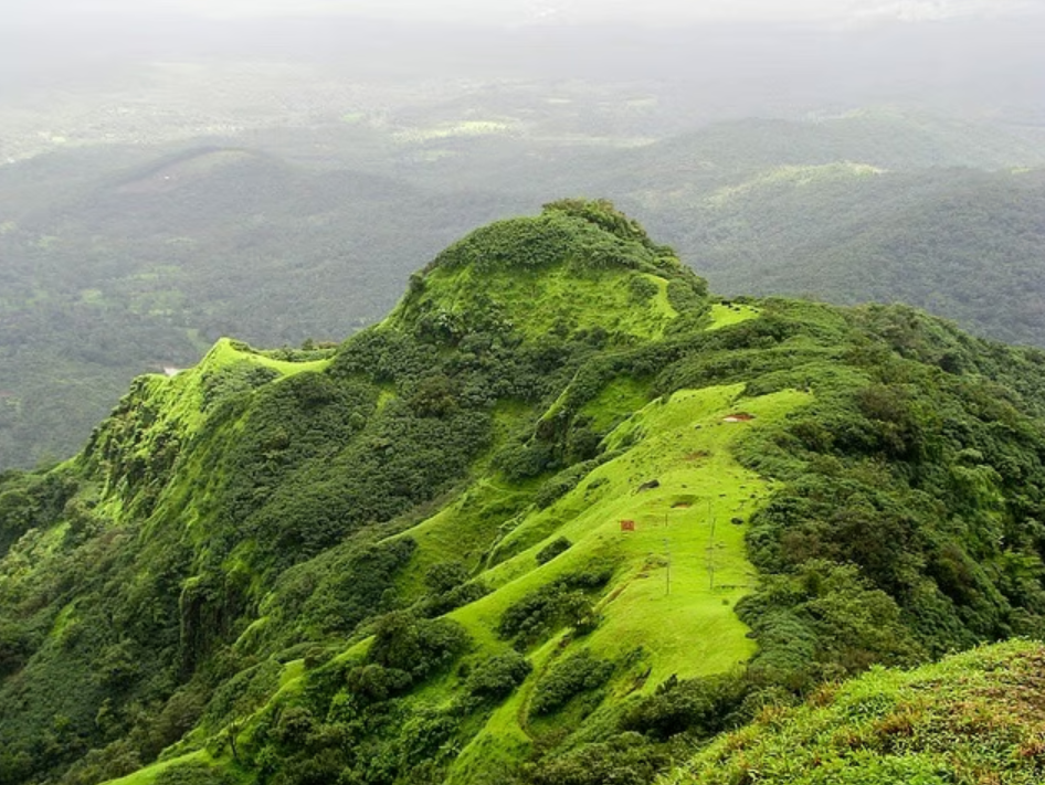 5 Forests In India That You Can Visit In Monsoons | Herzindagi