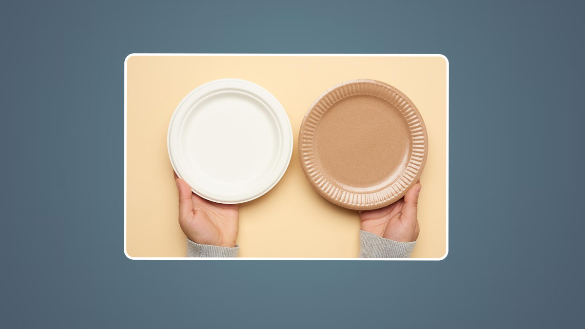 क्लीनिंग के काम को भी आसान बना सकती हैं पेपर प्लेट्स, जानिए कैसे | ways ...