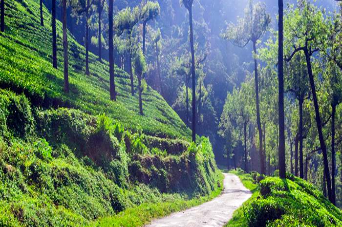 இயற்கை எழில் கொஞ்சும் மாஞ்சோலை | top attractions of manjolai popular ...