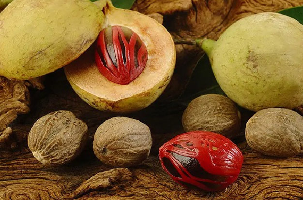 इस एक दुर्लभ फल में हैं दो मसाले, बिना इसके स्वाद है अधूरा | know about nutmeg fruit | Herzindagi