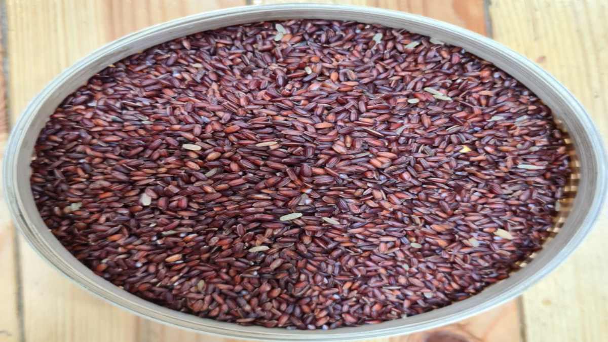 குள்ளக்கார் அரிசியில் இத்தனை சத்துக்களா? | amazing benefits of having ...