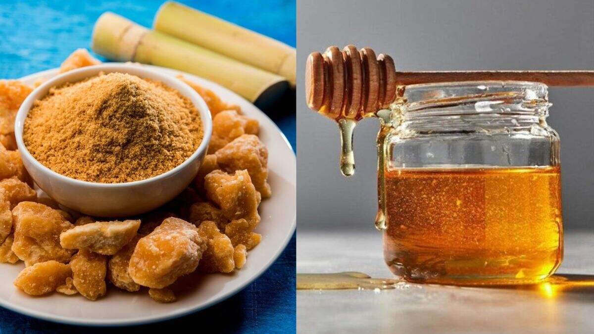 Best Affordable Natural Sweeteners Under 500 (May 2024): For Guilt-Free ...