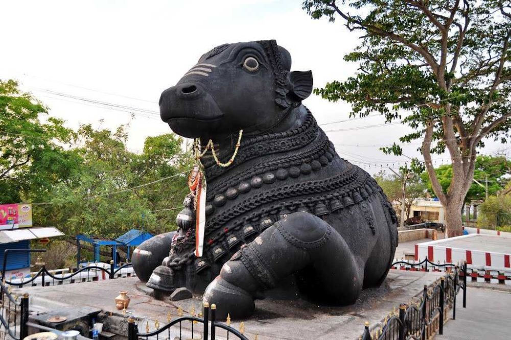 Dodda Basavana Gudi: All You Need To Know About This Popular Nandi ...